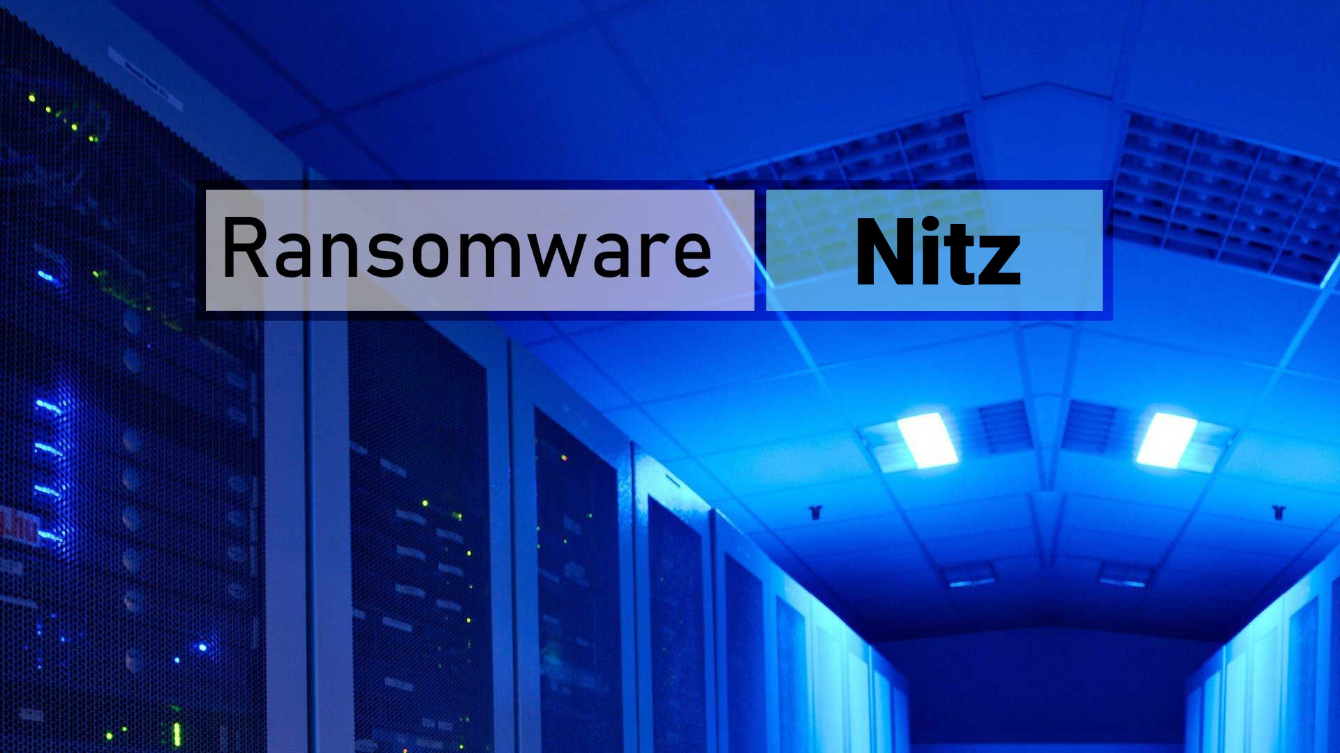 NITZ Virus (.nitz File) Ransomware — Correggi e decifra i dati